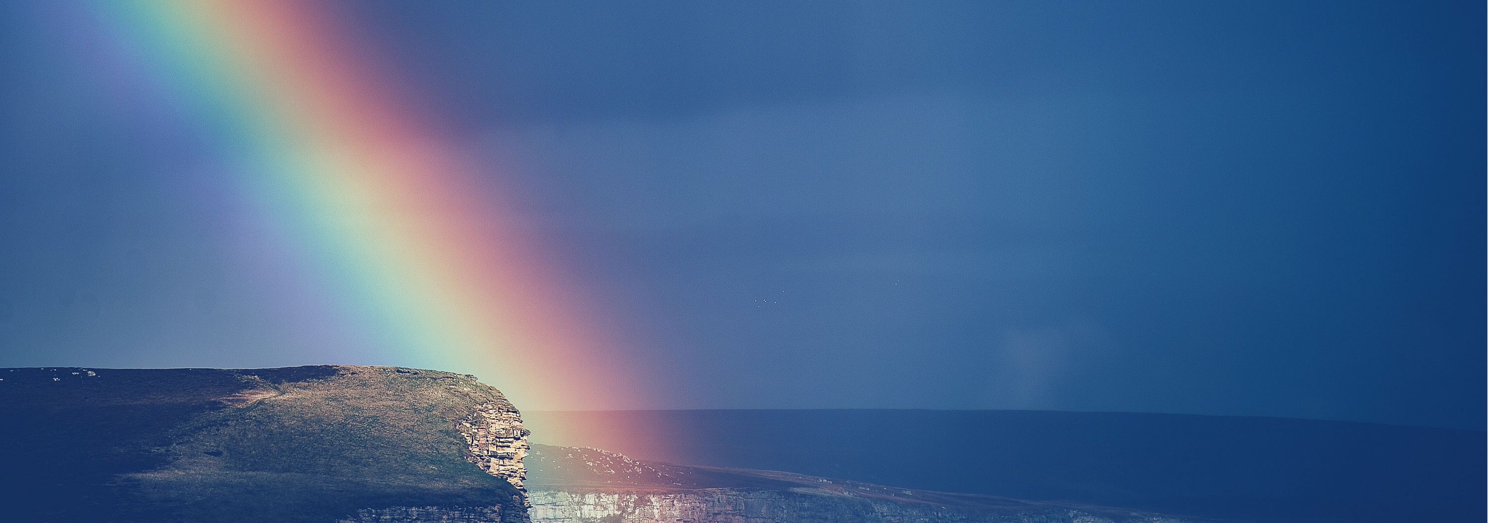 Poem: Reaction(ary) – Rae White