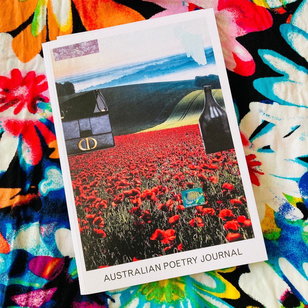 ‘Home (pixels) (praise)’ in Australian Poetry Journal 12.1 – Rae White